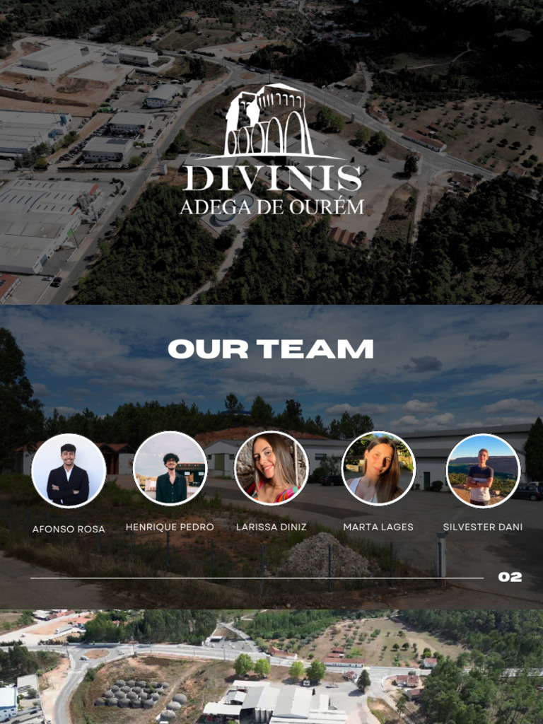 Final Presentation Divinis Adega | PDF | Marketing | Digital Marketing