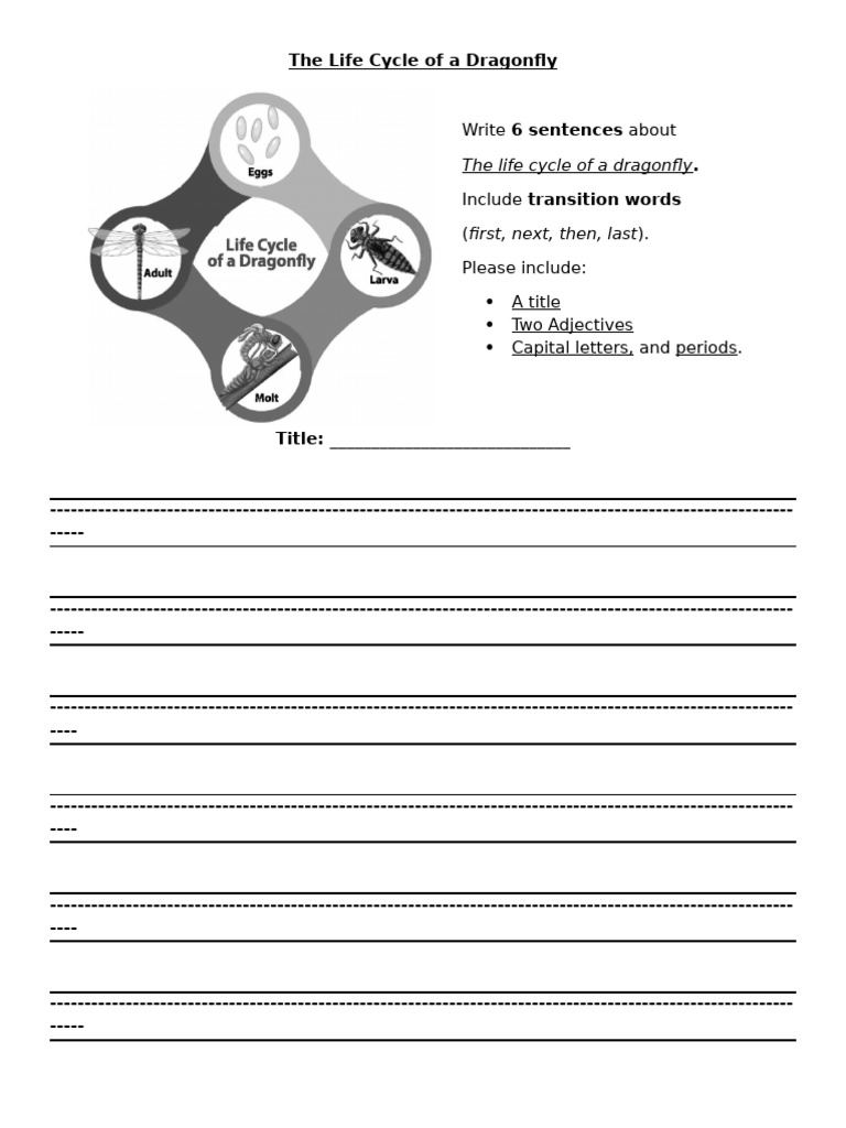 Life Cycle Writing Homework - Dragonfly | PDF
