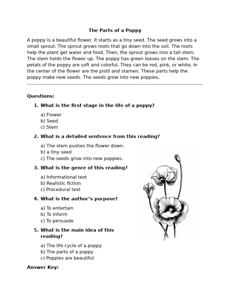 Reading Comprehension 2 - Poppy Plant | PDF