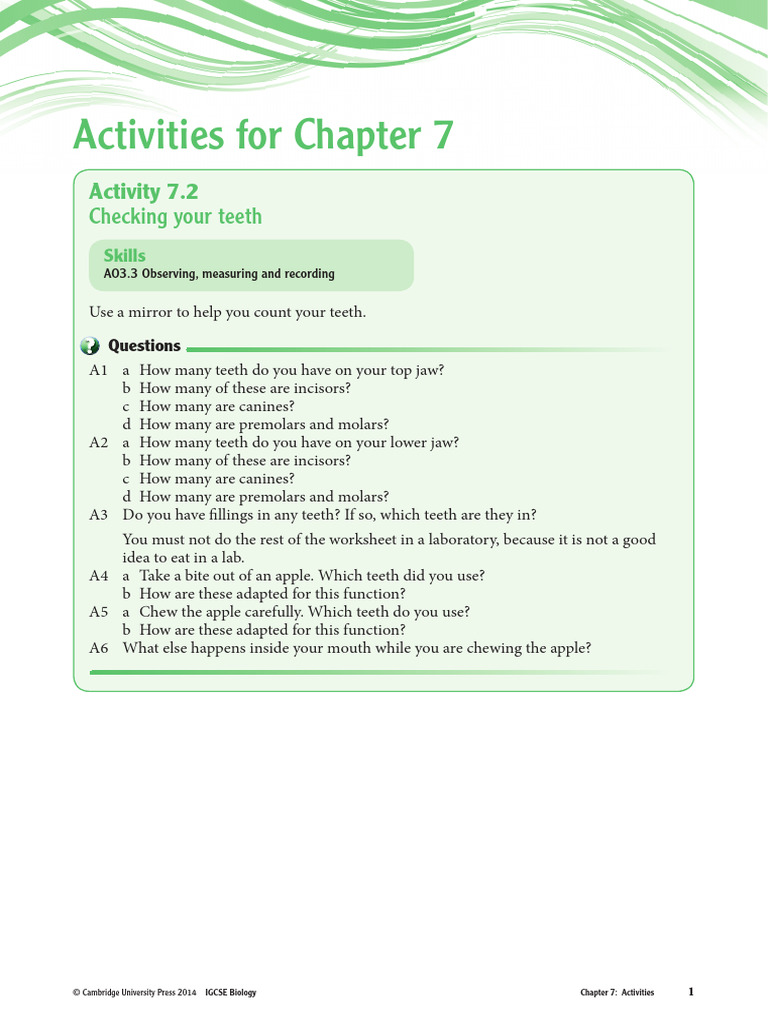IGCSE Biology: Teeth Observation Activities | PDF