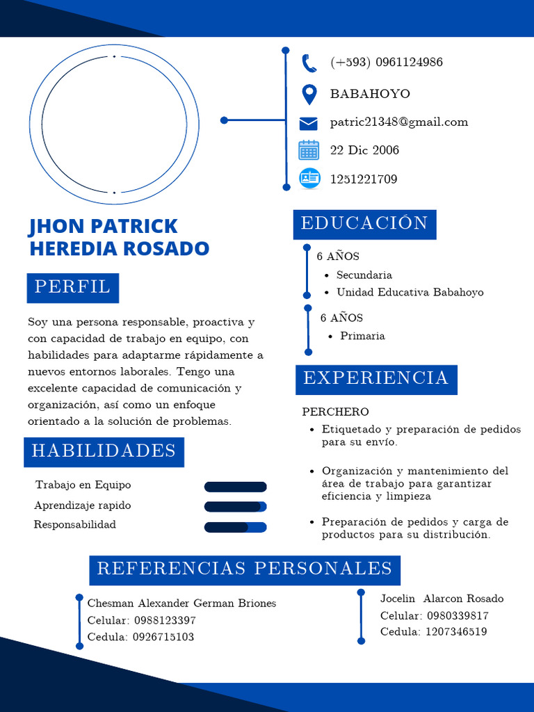 Hoja de Vida Profesional Azul | PDF