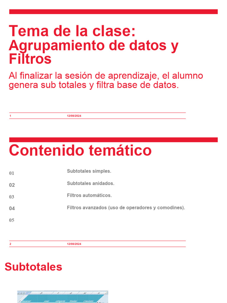 Filtro de Datos | PDF | Microsoft Excel | Bases de datos