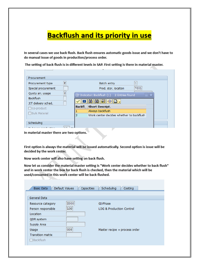 Backflush and Its Priority in Use | PDF