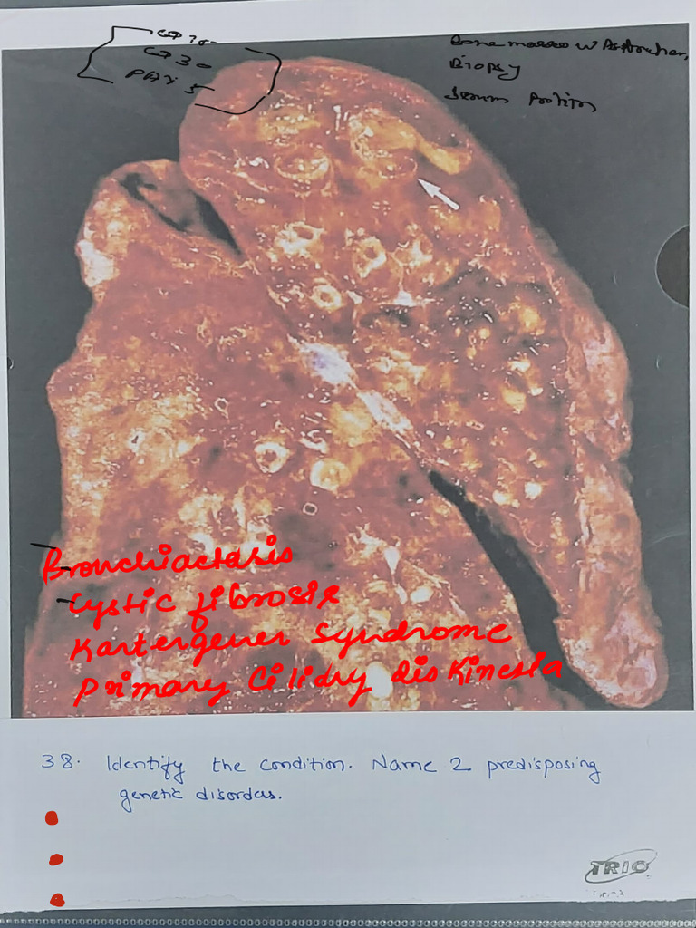 patho spotters-2_240925_190055 | PDF