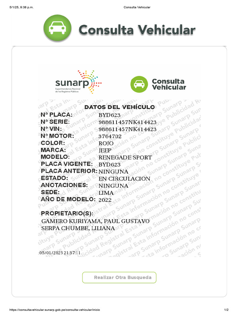 Consulta Vehicular | PDF