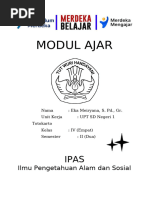 Modul Ajar PBL IPAS Kelas 4 Semester 2 | PDF