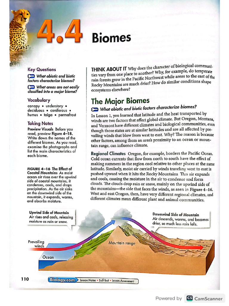 Biomes | PDF | Forests | Rain