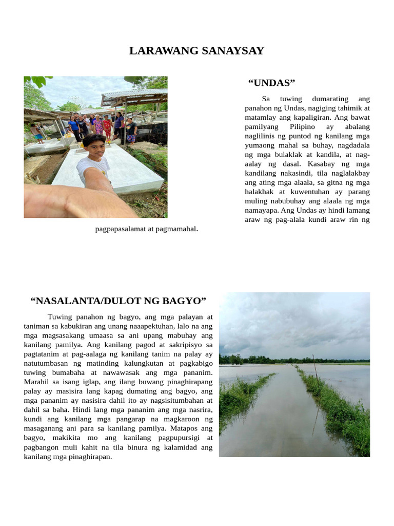 Larawang Sanaysay | PDF
