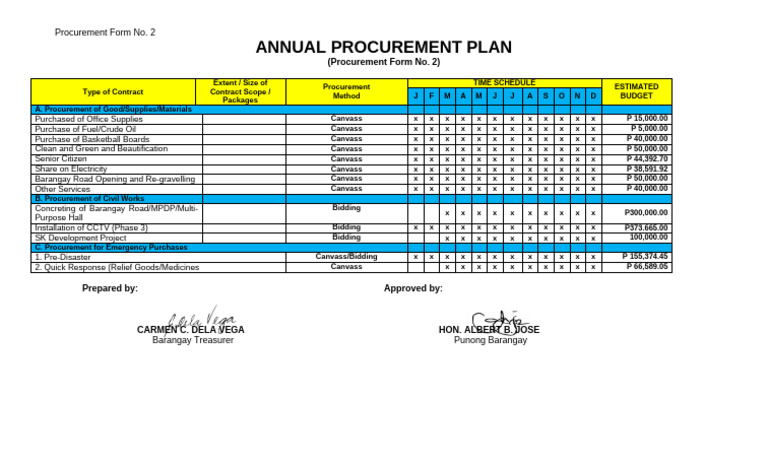 Annual Procurement Plan Overview | PDF | Procurement