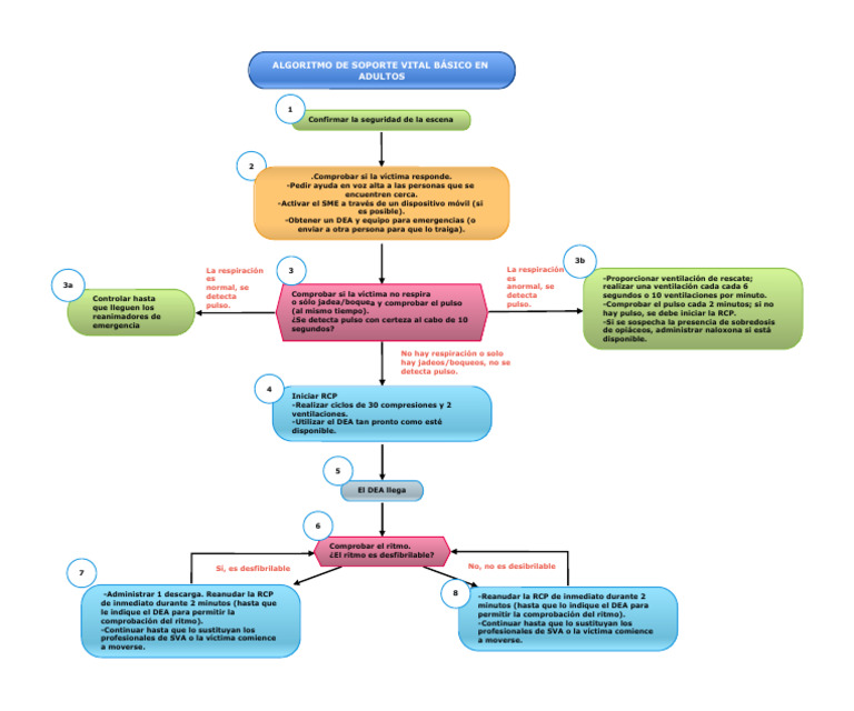 Algoritmo SVB Adultos | PDF | Reanimación cardiopulmonar | Servicios de emergencia