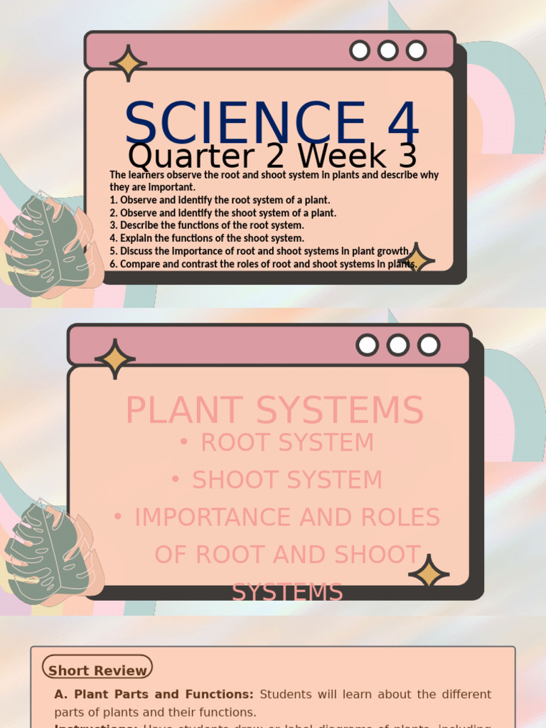 Science 4 Quarter 2 Week | PDF | Root | Plants