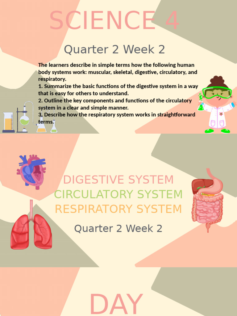 Science 4 Quarter 2 Week 2 | PDF | Breathing | Respiratory System