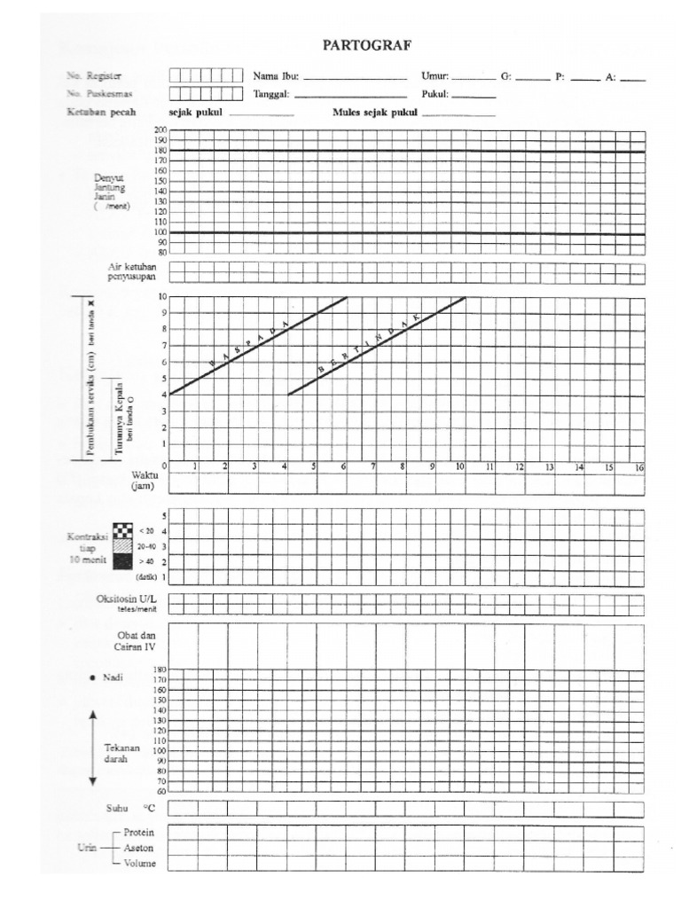 Partograf | PDF