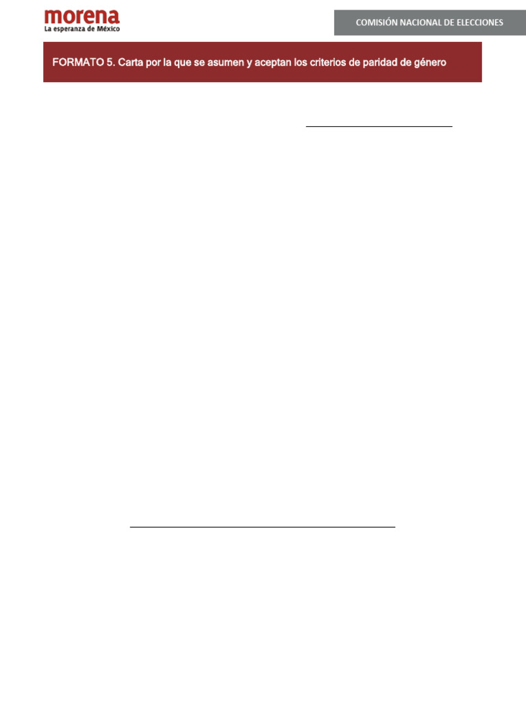 Formato-5.FINAL | PDF