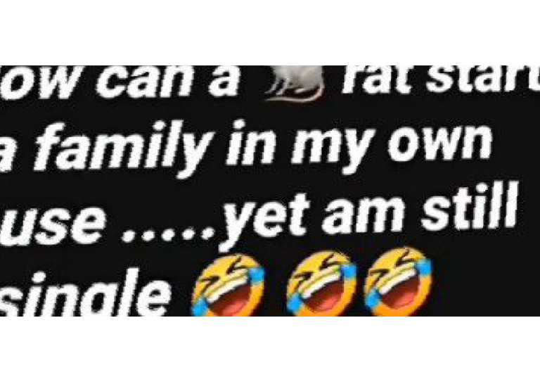 PDFReader 20250106 0652 | PDF