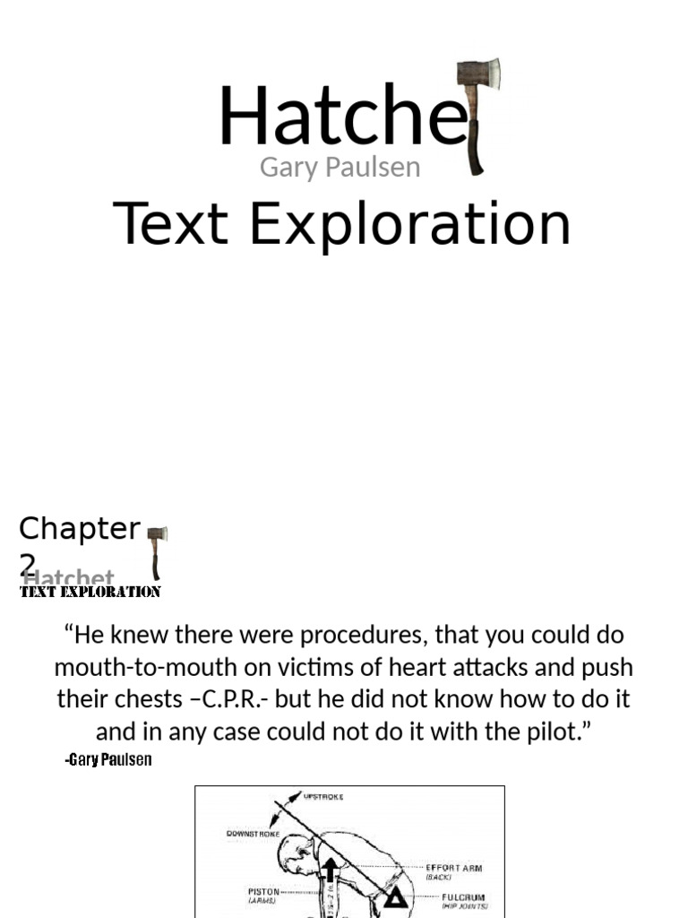 Hatchet Chapter2 | PDF