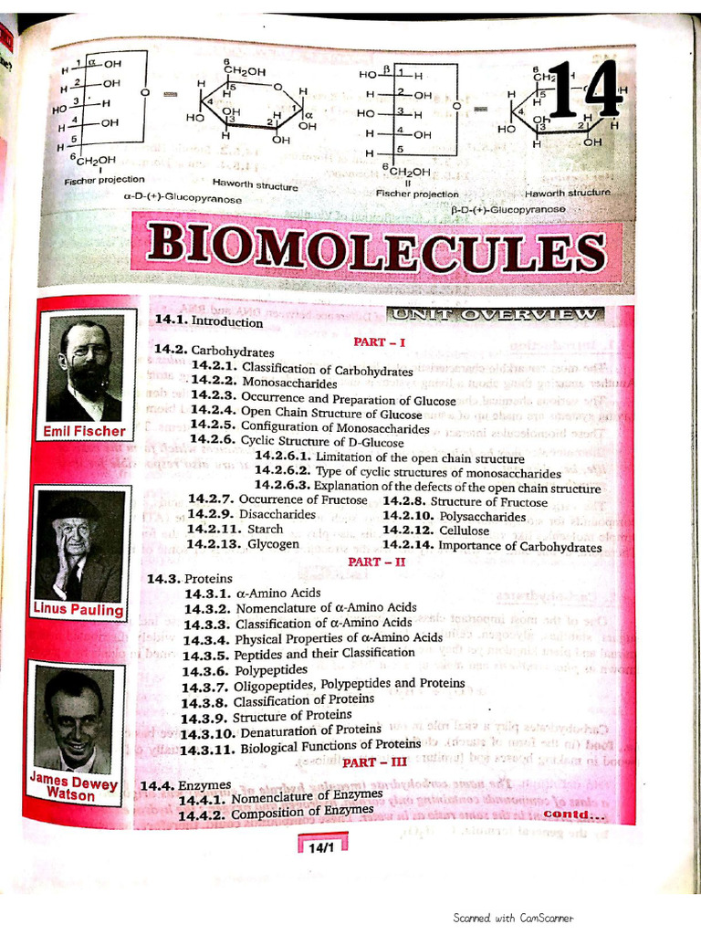 Bio Molecule | PDF