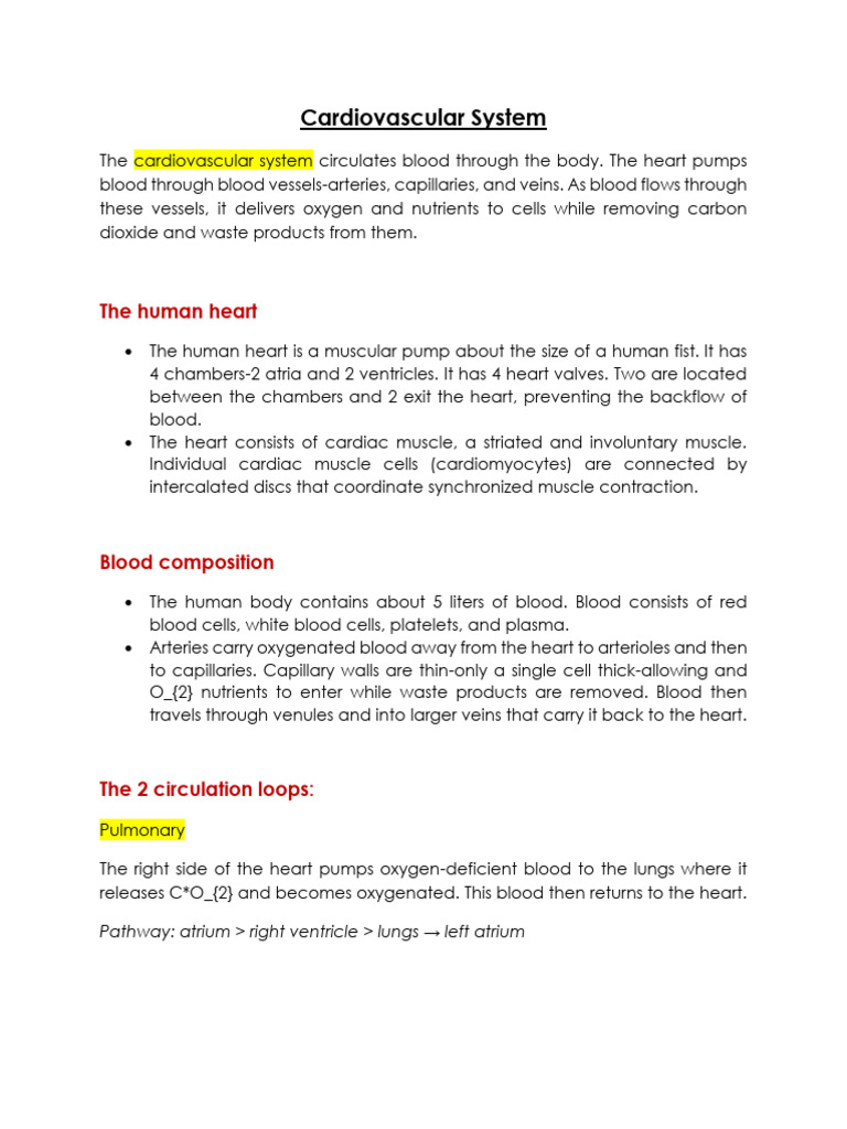 Cardiovascular System | PDF