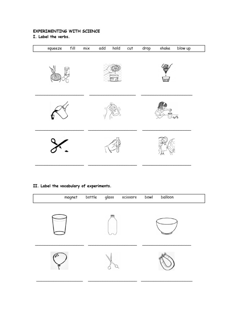 Science Experiment and Vocabulary Guide | PDF | Meal | Foods