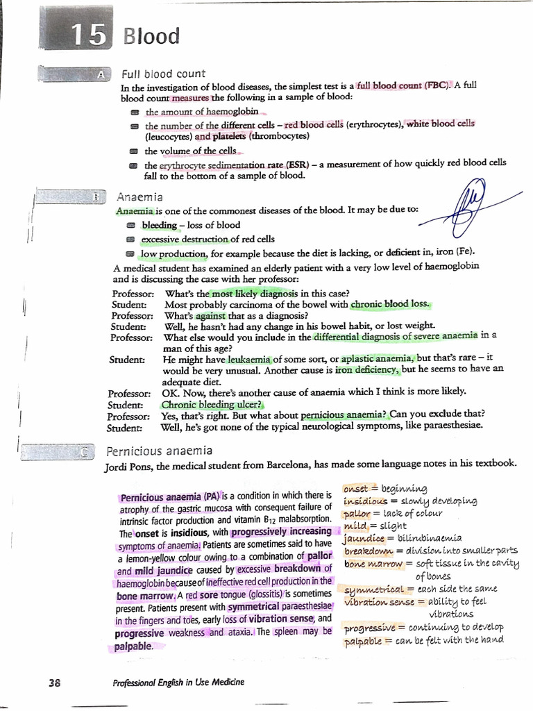 Activity Class 4 | PDF