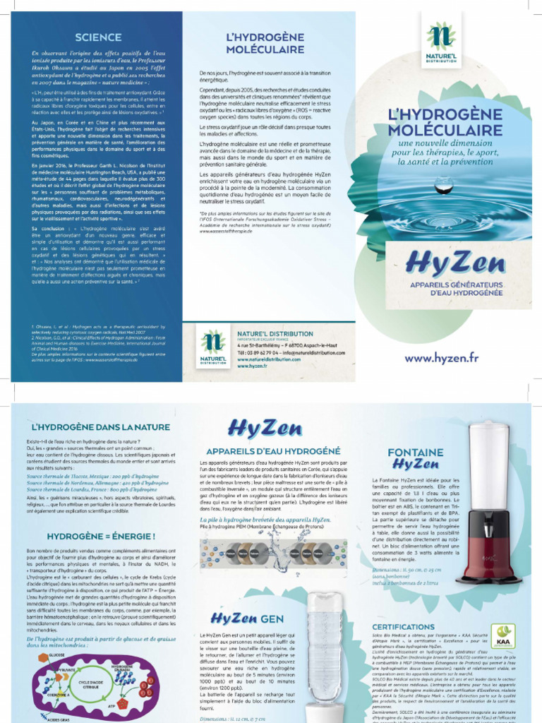 Brochure HyZen Web | PDF