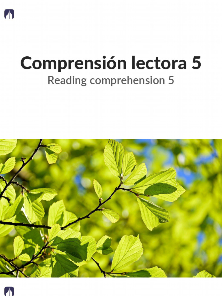 5. Comprensión lectora (level 2) | PDF