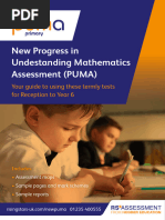 PUMA Maths Assessment Year 5 Scores | PDF