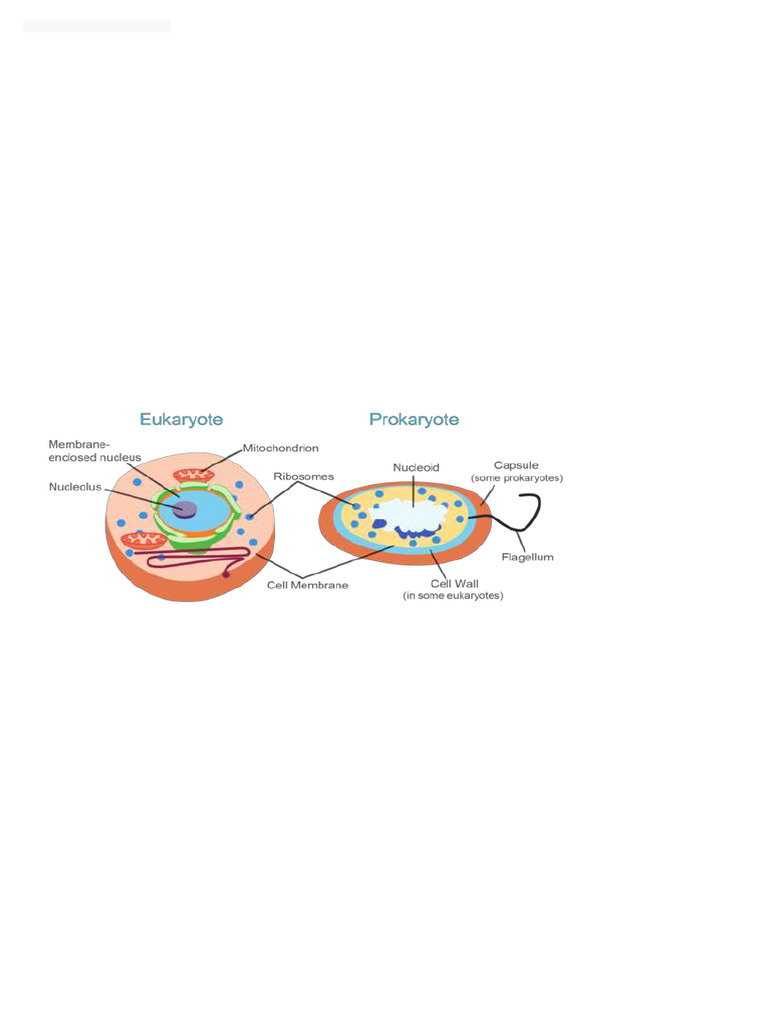 Understanding Cell Structure and Function | PDF | Cell (Biology ...
