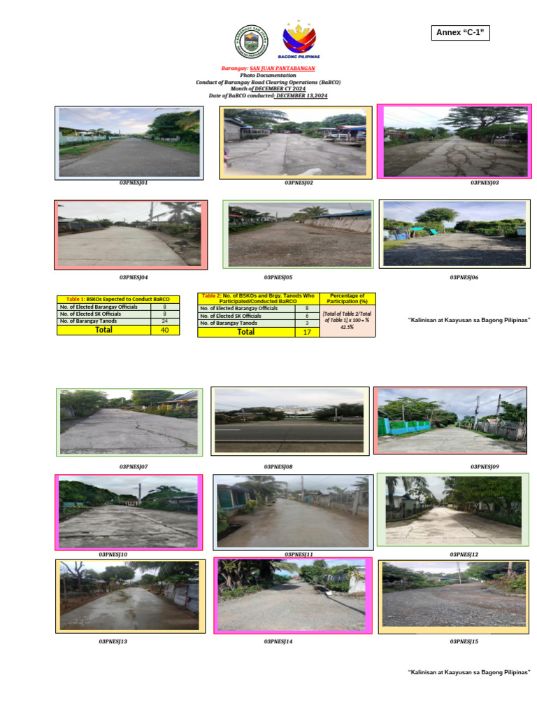 Barco Annex C-1San Juan December 2024 | PDF