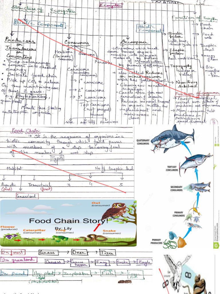 class 10 environment_copy | PDF