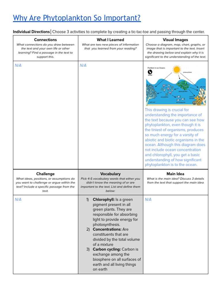 Importance of Phytoplankton Explained | PDF | Phytoplankton | Oceans