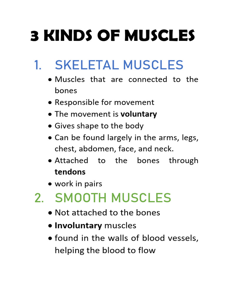 3 Kinds of Muscles | PDF