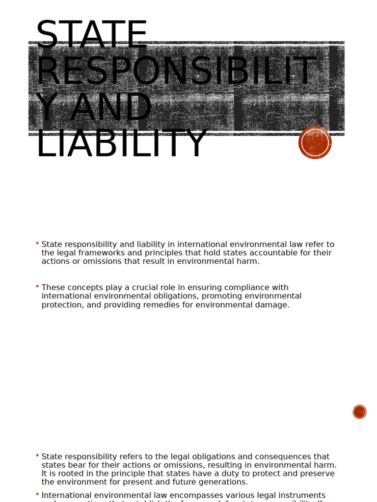State Responsibility and Liability | PDF | Environmental Law | Legal ...