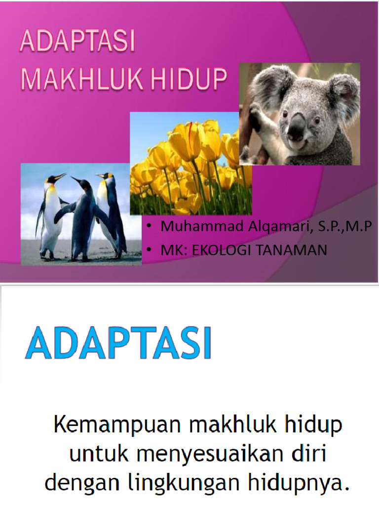 Adaptasi Tanaman: Hidrofit, Xerofit, Higrofit | PDF