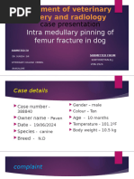 Ehmer Sling Application in Dogs | PDF | Hip | Skeletal System