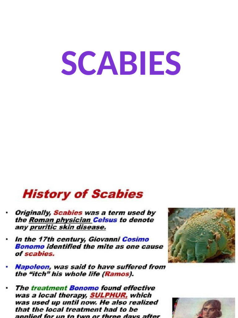4 Scabies | PDF