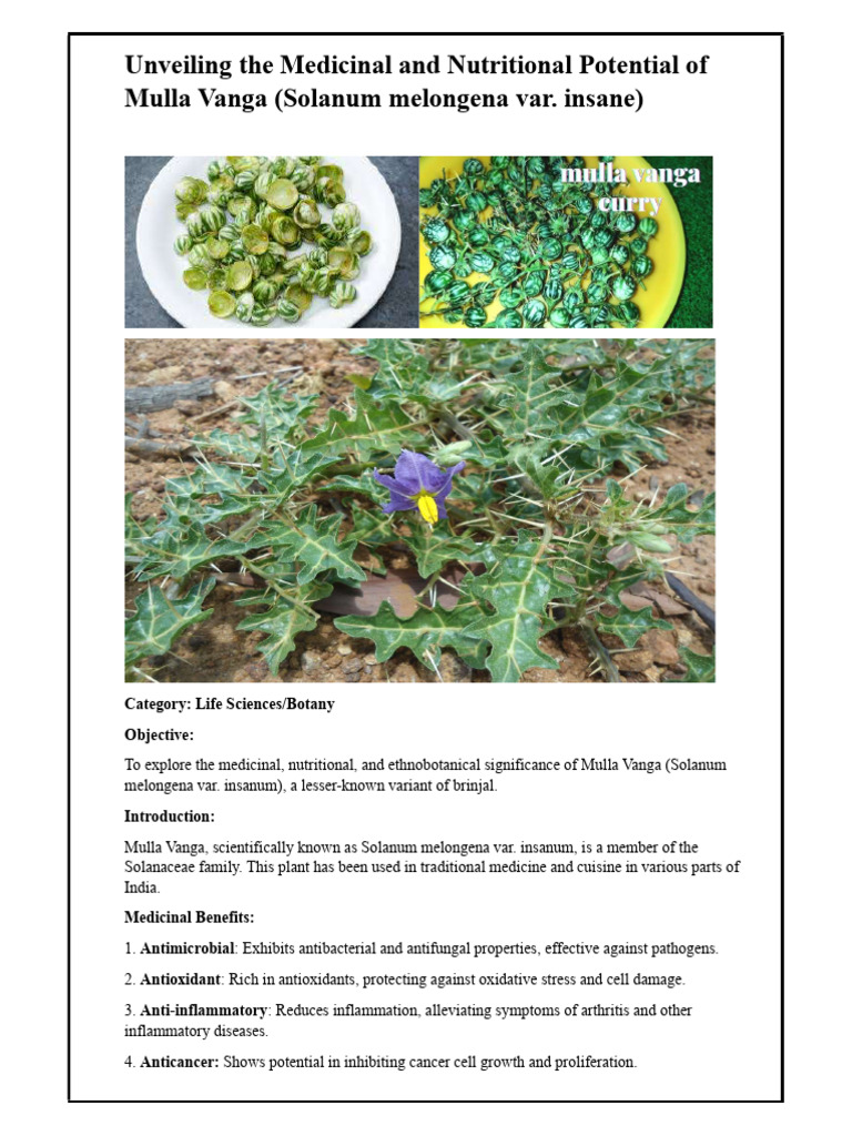 Unveiling The Medicinal and Nutritional Potential of Mulla Vanga | PDF