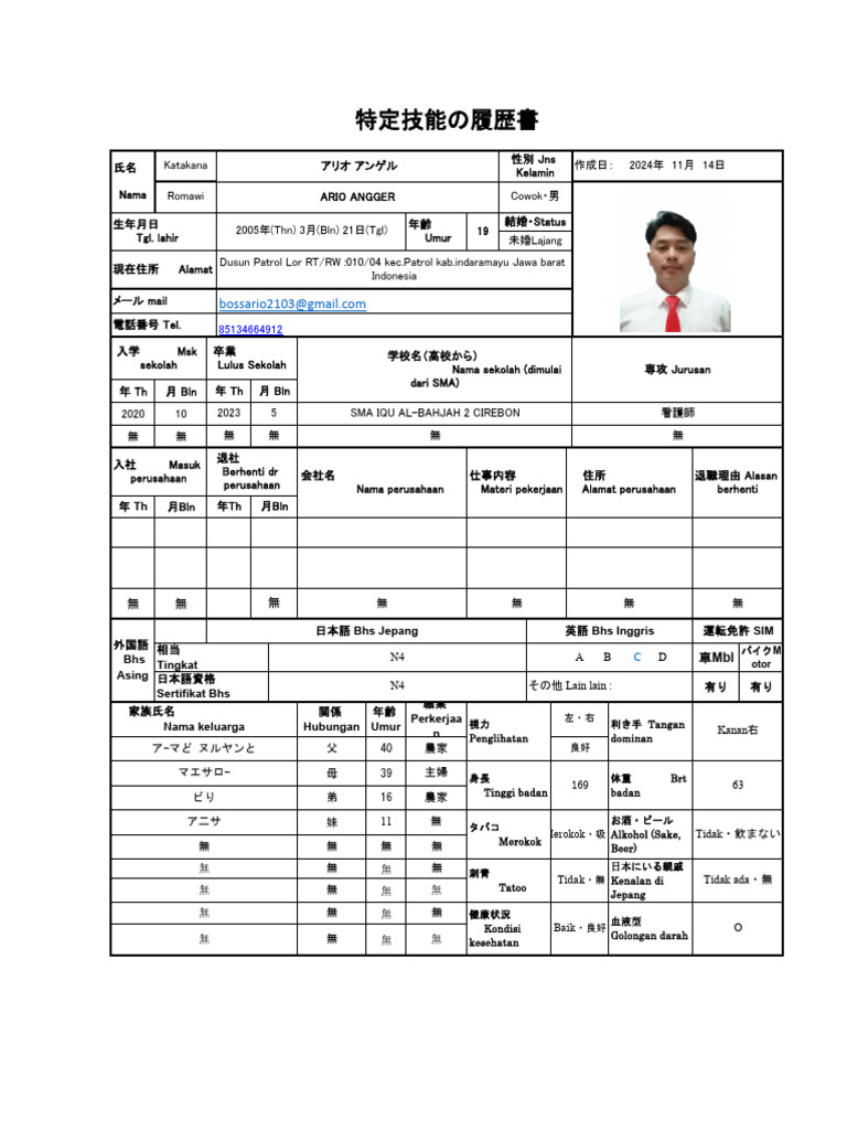 CV Ario Angger 2 | PDF