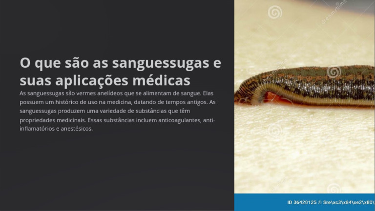 O-que-sao-as-sanguessugas-e-suas-aplicacoes-medicas.pdf_20250106_030534 ...