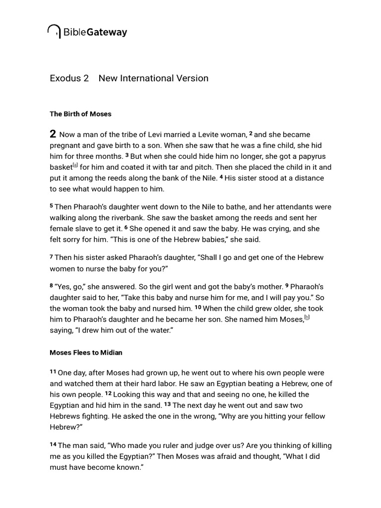 Exodus 2 NIV - The Birth of Moses - Now a Man of the - Bible Gateway ...