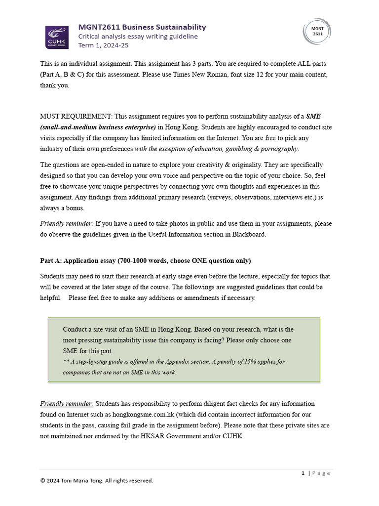 MGNT2611 Critical Essay Writing Guideline (Revised) | PDF | Critical Thinking | Sustainability