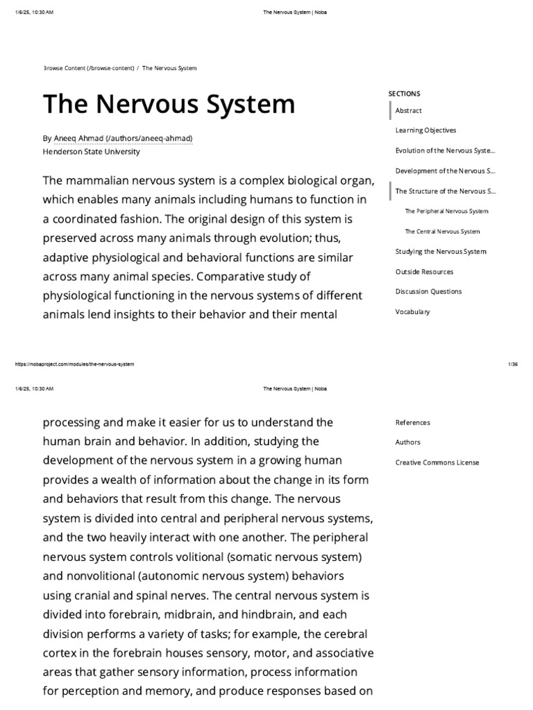 The Nervous System - Noba | PDF | Cerebral Cortex | Nervous System