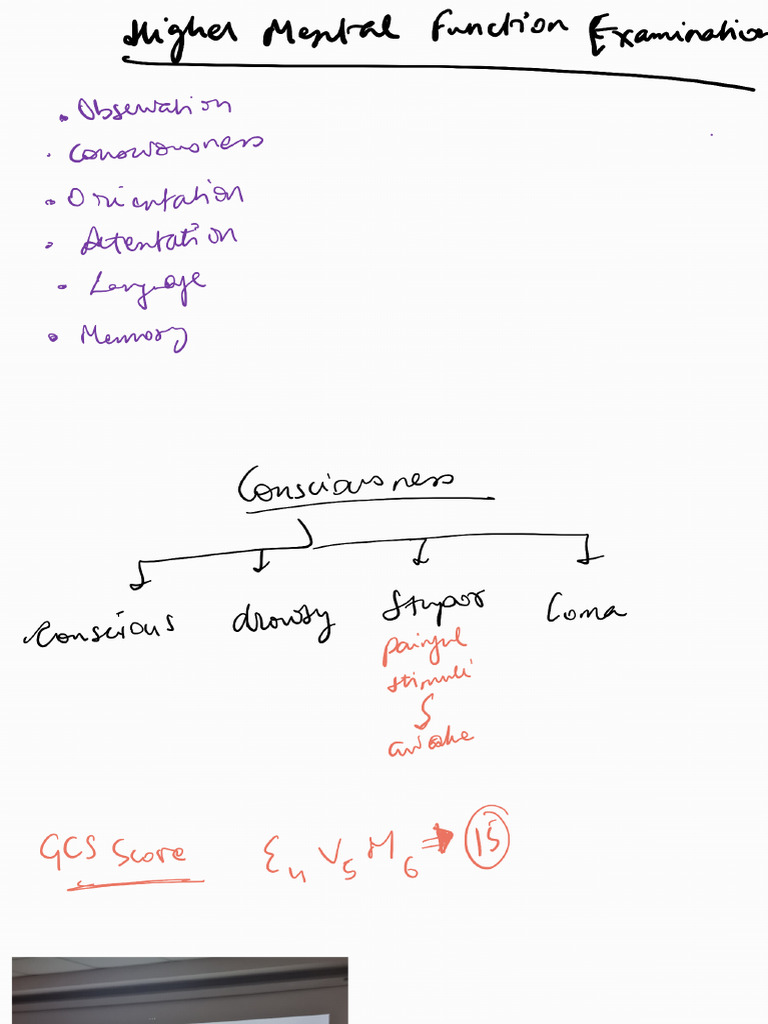 Higher Mental Functions_240603_095434 | PDF