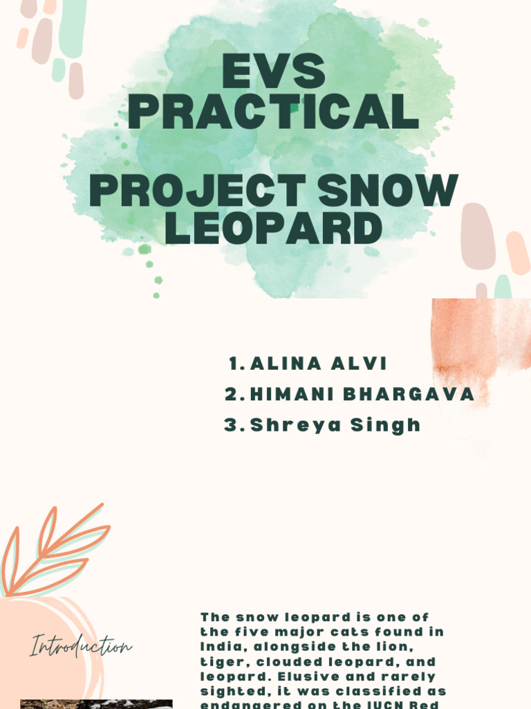 Project Proposal | PDF | Conservation Biology | Leopard