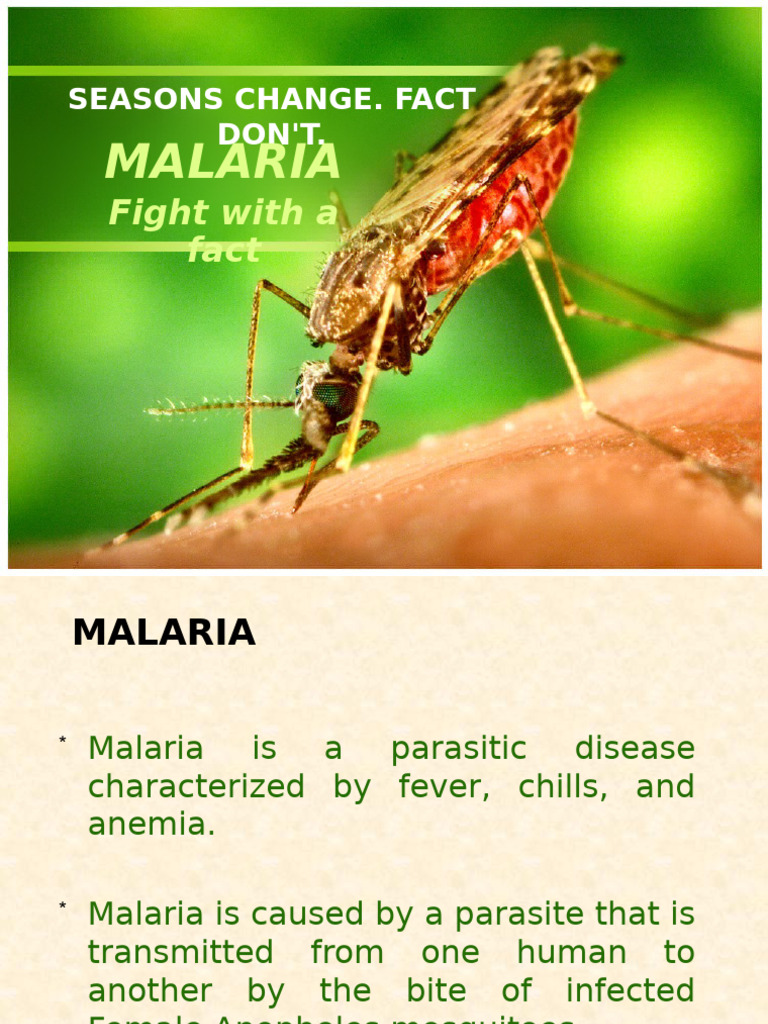 Malaria Prevelence | PDF