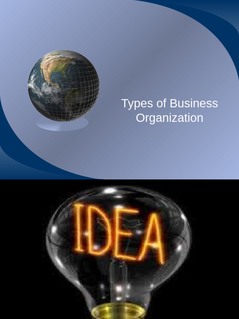 Types of Business Organization | PDF | Partnership | Franchising