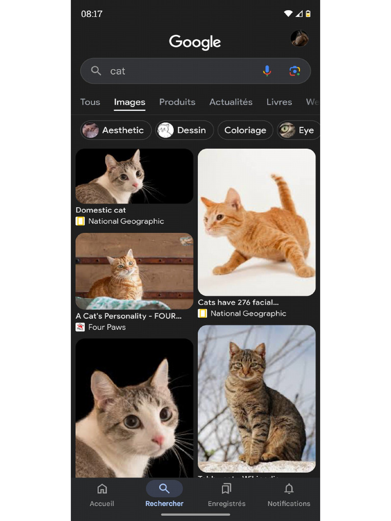 Image To PDF 20250106 08.18.21 | PDF