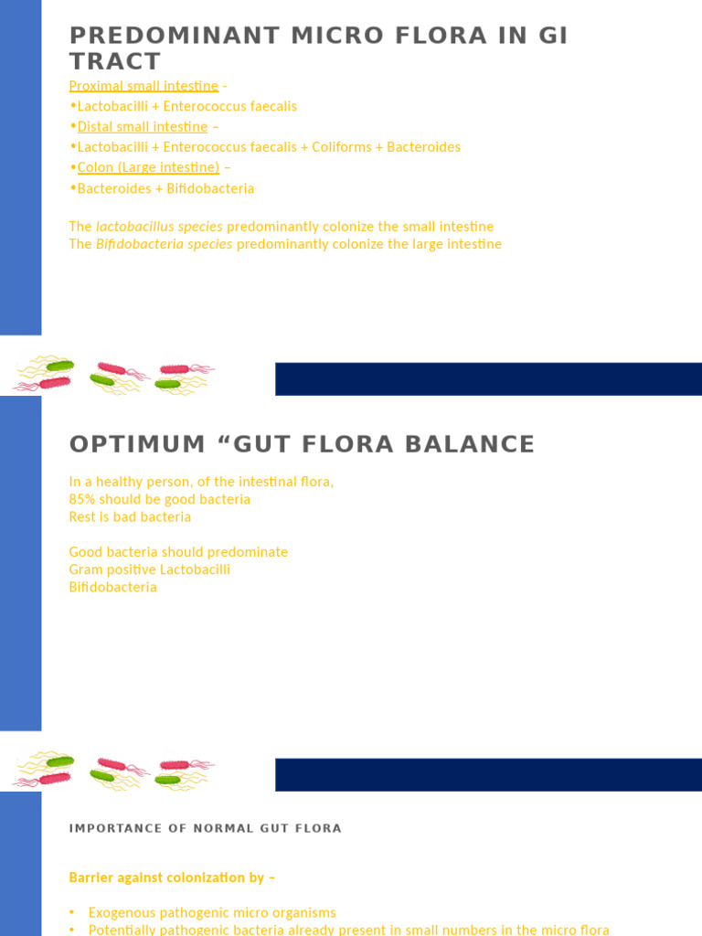 Microflora | PDF