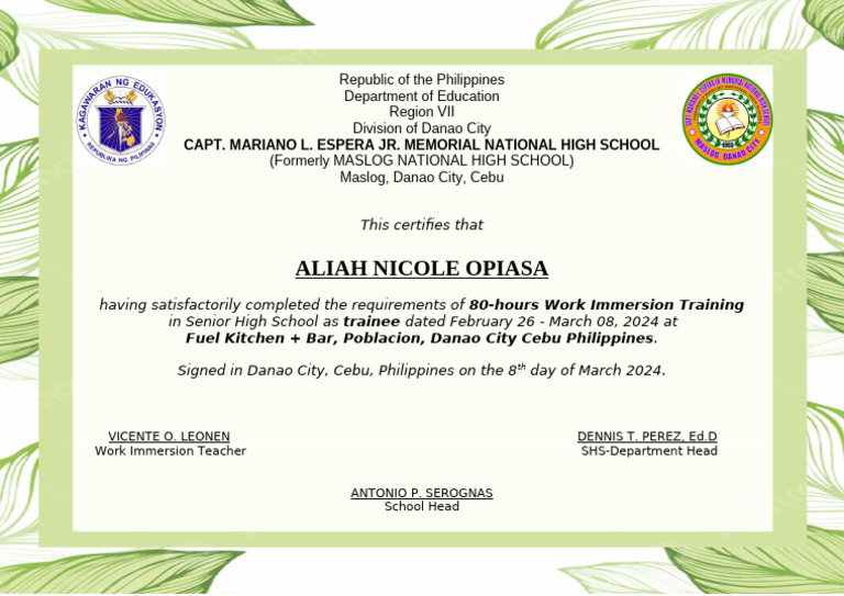 CERTIFICATE OF Work Immersion | PDF