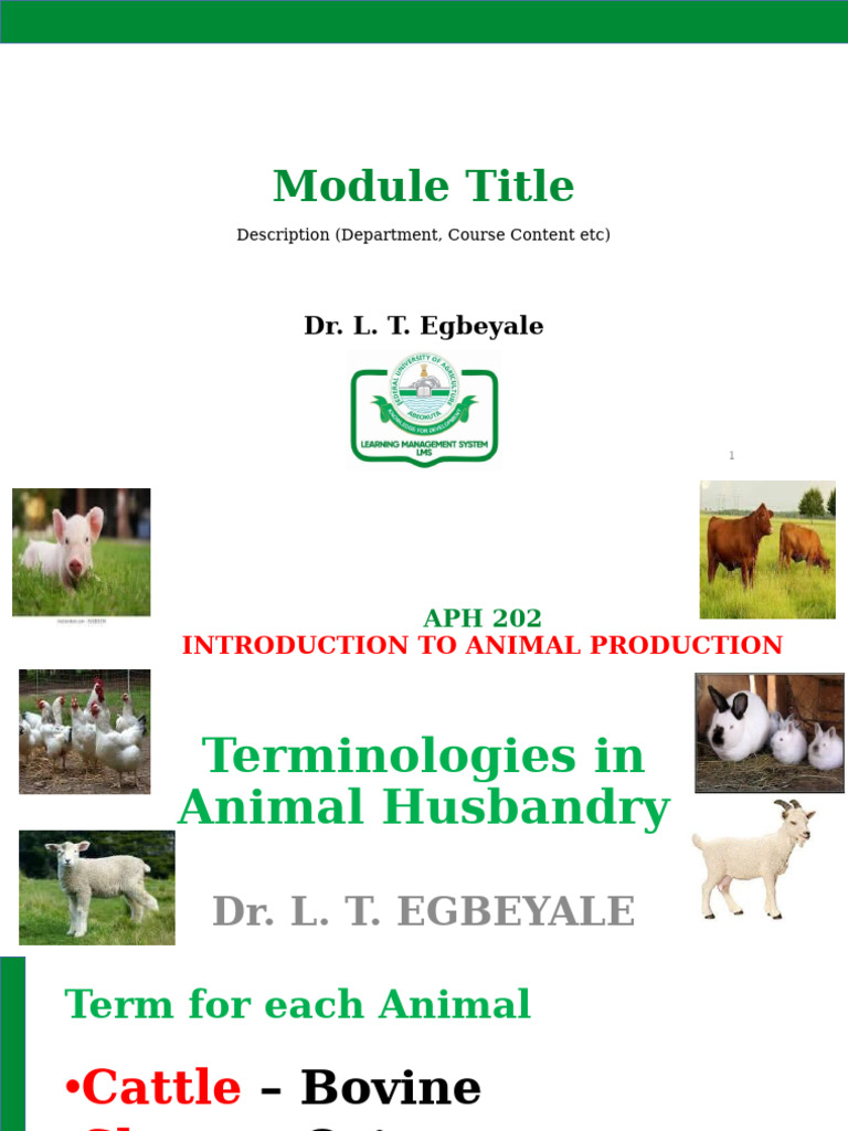 Terminologies in Livestock1 | PDF | Chicken | Sheep